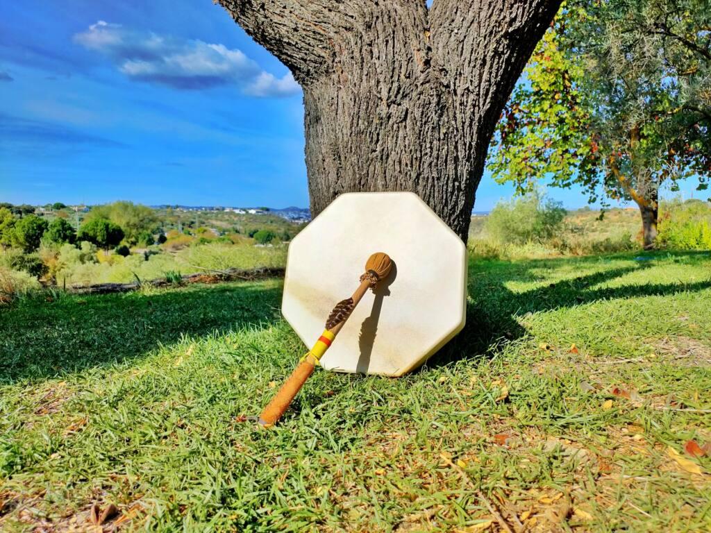 Shamanic / Octagonal Drum, Male Goatskin | TrustGaia